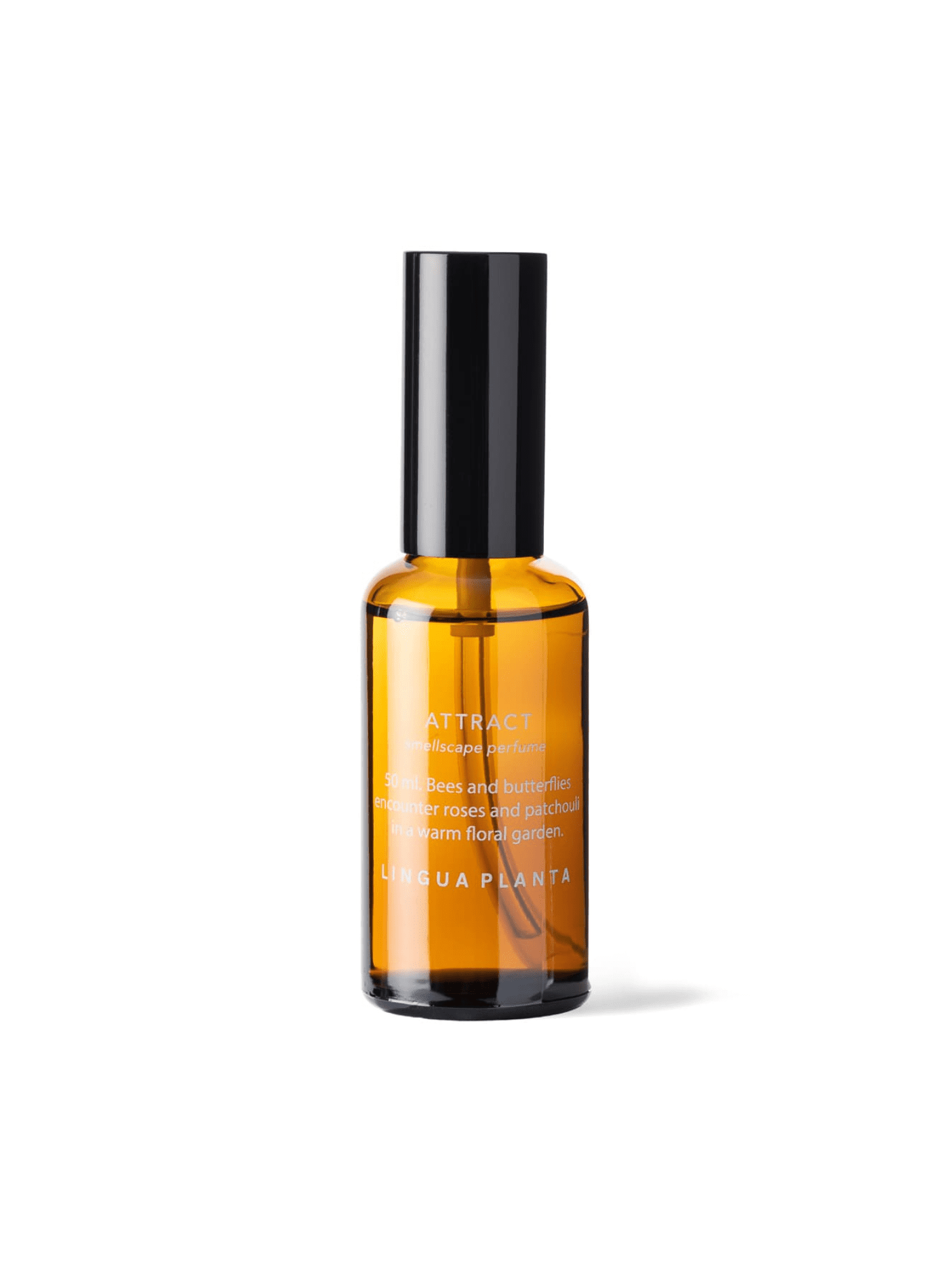 Planta De Patchouli Patchouli Olie 100% PUUR. Grote Fles Krachtige